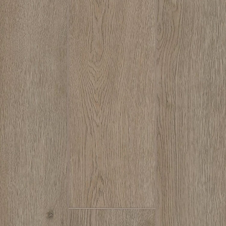 CoreTEC Pro Plus Long Planks | LaminaatenParket